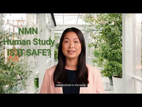 IS NMN SAFE IN HUMAN? | Keio University Study on NMN in Human | NMN Human Study