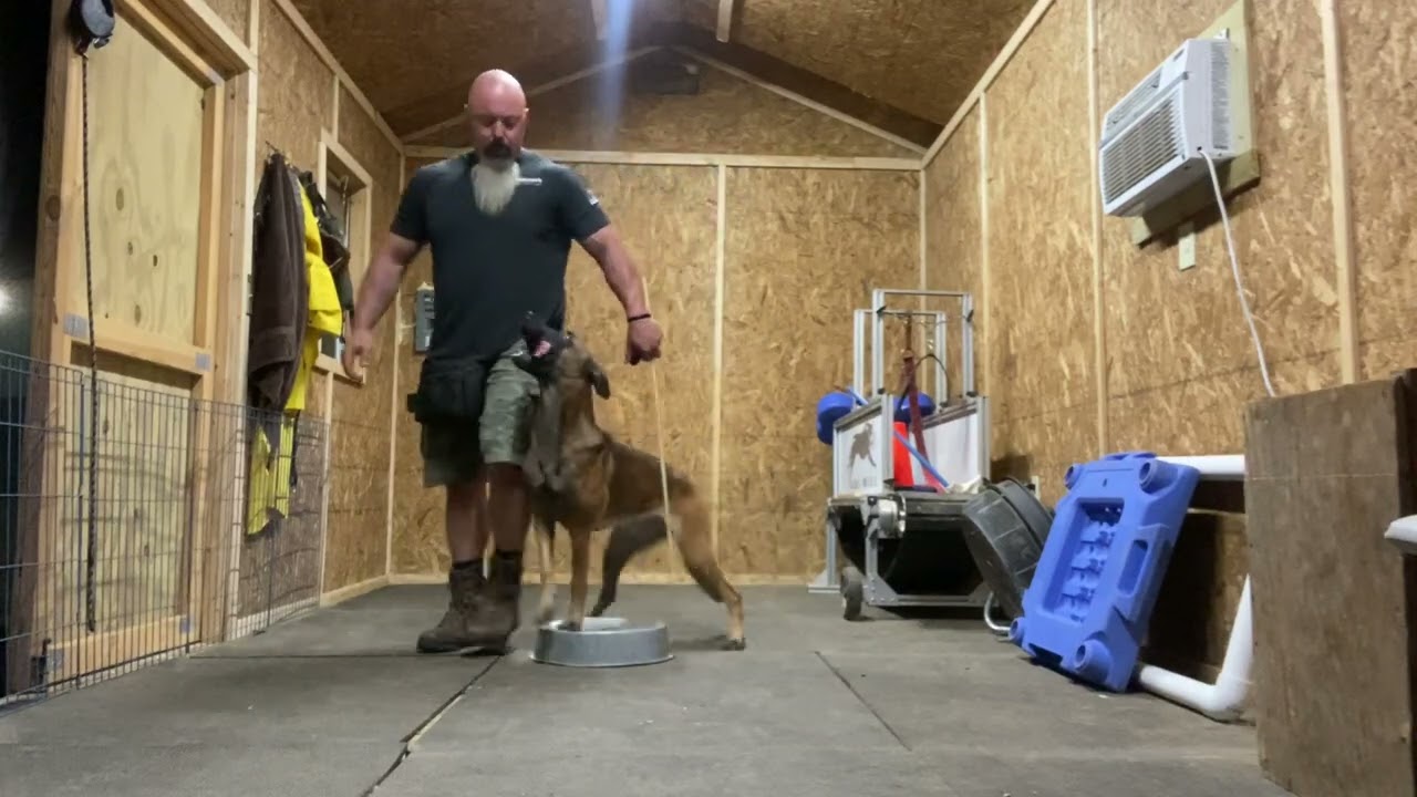 Rear end awareness, using the 