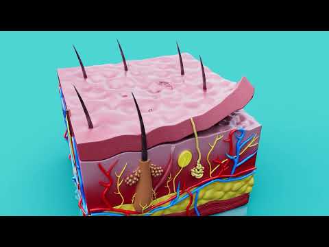 Master Outpatient Infectious Diseases | Continuing Education Company | Online CME Course