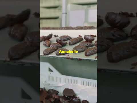 The History of Look Candy!