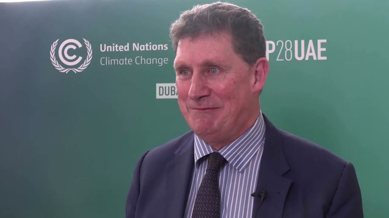 Who is pushing for a fossil fuel phase-out at COP28?