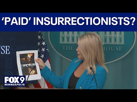 LA protests led by ‘paid insurrectionists’: White House officials investigating