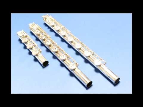 Ritter RBS7D Flute C-foot BDT iMuso