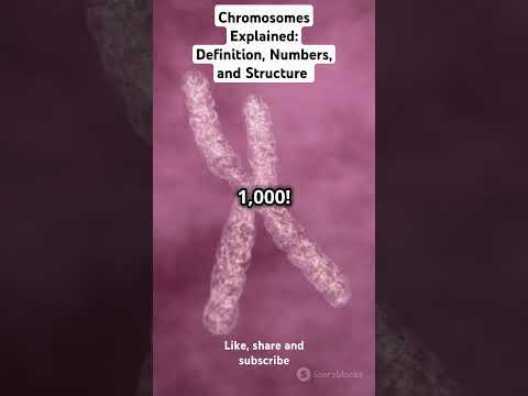 Chromosomes Explained: Definition, Numbers, and Structure/#viralshorts #chromosome #DNA #genetics