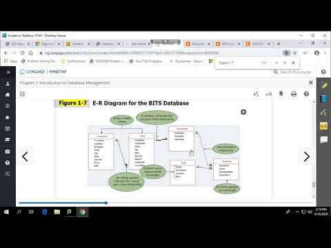 CSC210 Database Design: Using LucidChart to create ERD