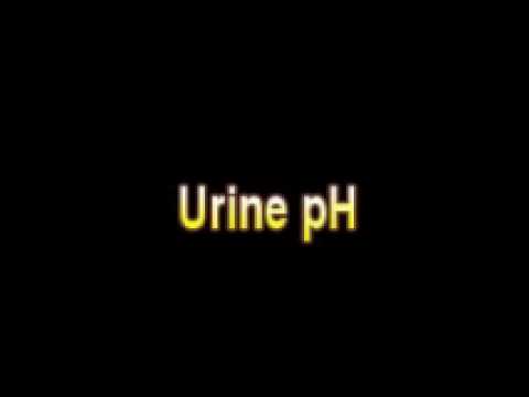 What Is The Definition Of Urine pH Medical School Terminology Dictionary