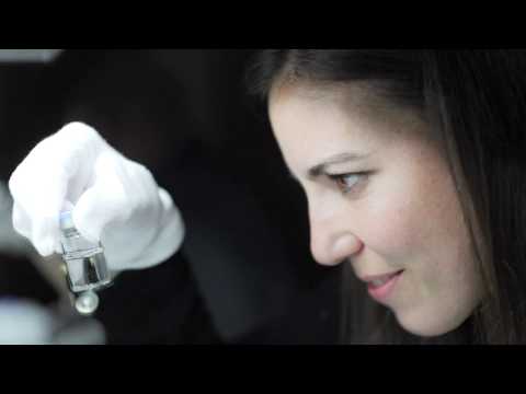PDA An Introduction to Visual Inspection Training Course