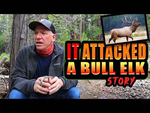 WYOMING Ranch Hand has Disturbing Encounter!