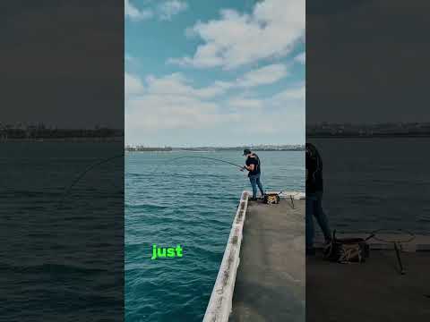 An old video of ISO fishing since we cannot go fishing at Waitemata Harbour atm :( @oceanheim