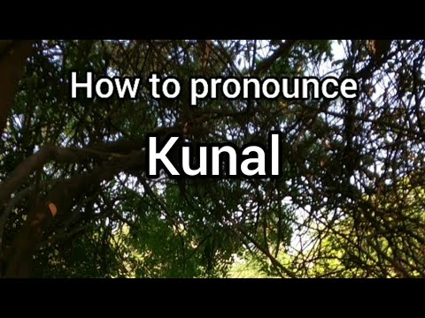 How to Pronounce Kunal