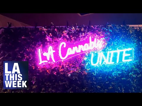 Cannabis Unite Summer Edition