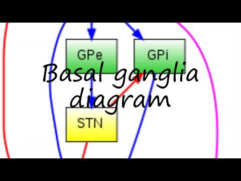 How to pronounce Basal ganglia diagram in English?