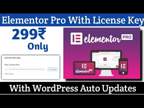 Download Elementor Pro With Original License Key At 299Rs Only