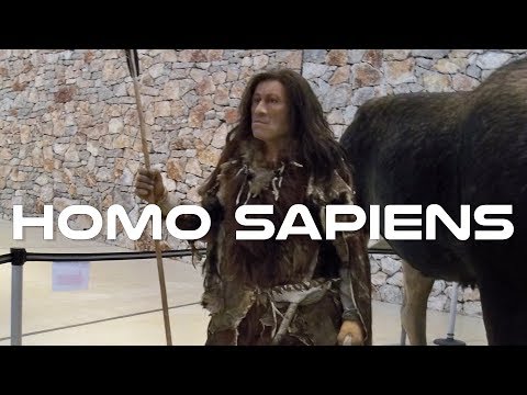Homo Sapiens Documentary