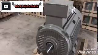 Phân biệt nhanh IE1, IE2, IE3 – Hiệu suất động cơ khác nhau như thế nào?