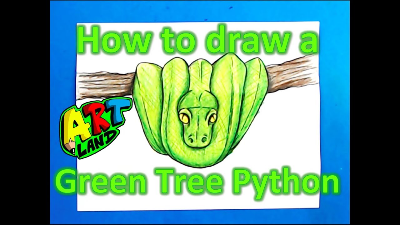 How to draw a Green Tree Python
