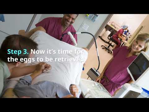 The IVF Cycle - A Step By Step Timeline - Reproductive Resource Center | Kansas City IVF