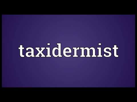 Taxidermist Meaning