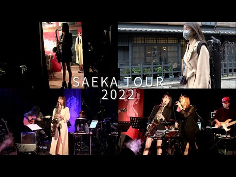 Twilight / 才恵加(saeka) Live at.BLUES ALLEY JAPAN | 才恵加（Saeka）Official Site