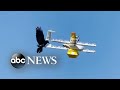 Raven Attacks Coffee Delivery Drone, Epic Struggle Ensues - Nerdist