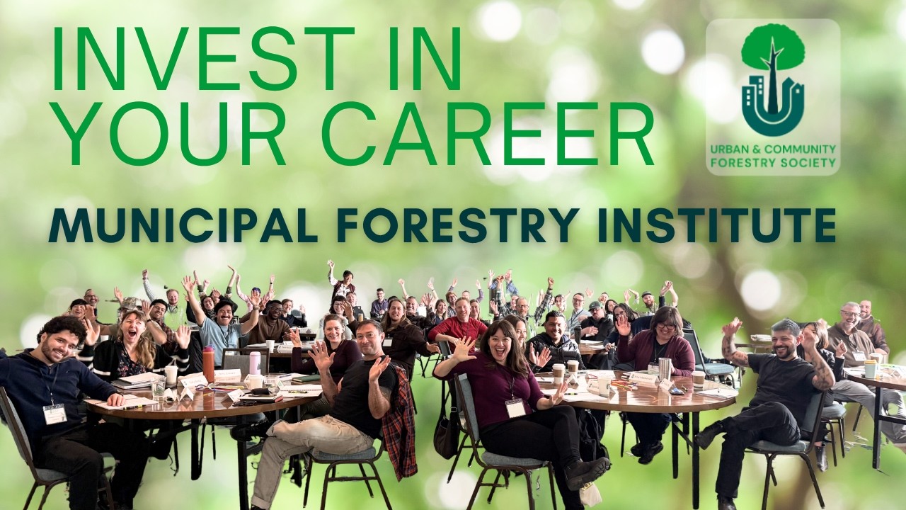 To grow your city's trees, grow yourself