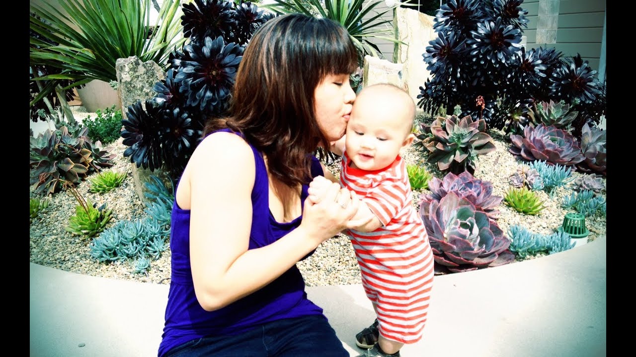 Watch My Son GROW! Birth to Six Months - MMCvlog