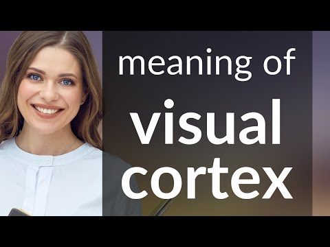 Visual cortex | meaning of VISUAL CORTEX