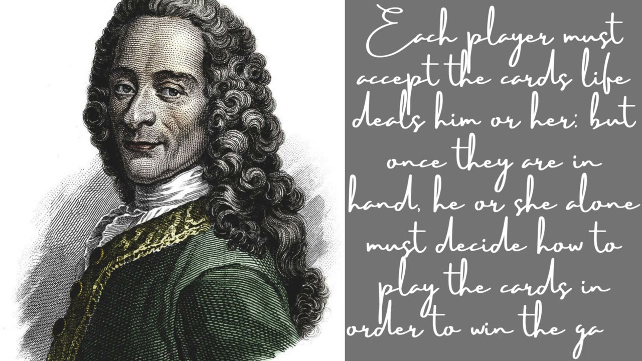 14 Voltaire Quotes to Improve your Rational Thinking #shorts #shortsfeed #shortvideo #shortquotes