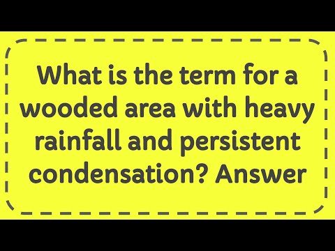 What is the term for a wooded area with heavy rainfall and persistent condensation? Answer