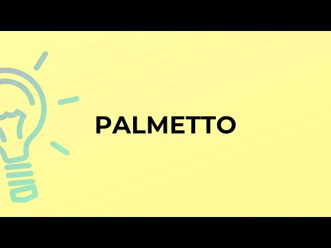 What is the meaning of the word PALMETTO?