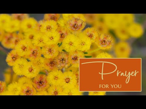 Prayer for Easter | Easter Prayer for You | Prayers from Blestful