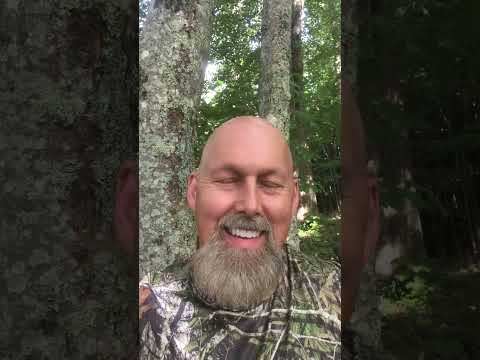 Catchy Hunter Phrases! #deerhunting #bowhunting #shorts #shortvideo #youtubeshorts #deerseason #fun