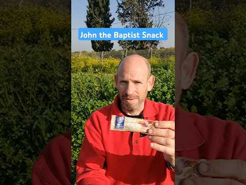 Protein and energy boost in the morning from a Biblical food - Biblical Energy Bars by Holy Locust