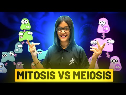 Cell Division: Mitosis vs Meiosis 🧬 | Key Differences Explained | Muskan Ma'am