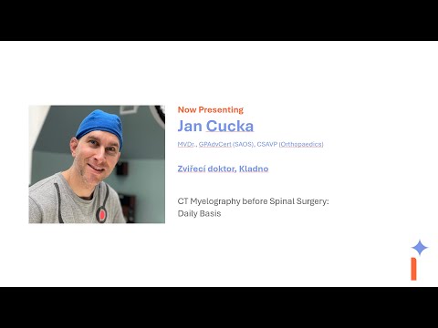 CT Myelography before Spinal Surgery: Daily Basis