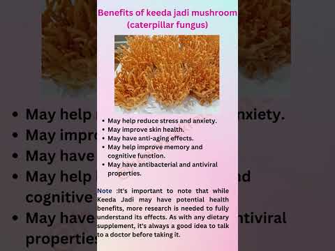 Benefits of keeda jadi mushroom (caterpillar fungus)