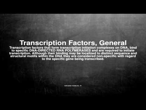 Medical vocabulary: What does Transcription Factors, General mean
