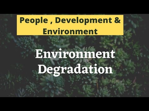 Environment Degradation || पर्यावरण क्षरण || Environment Degradation in Hindi||