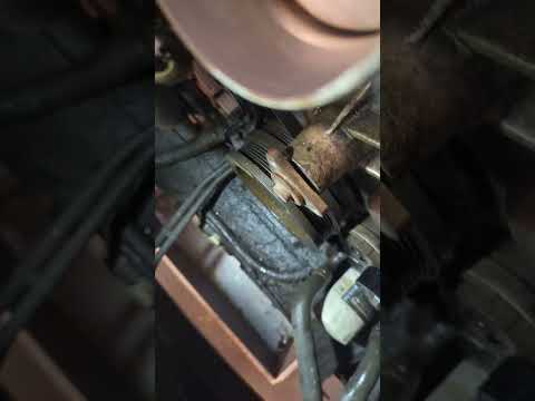 Ford water pumps