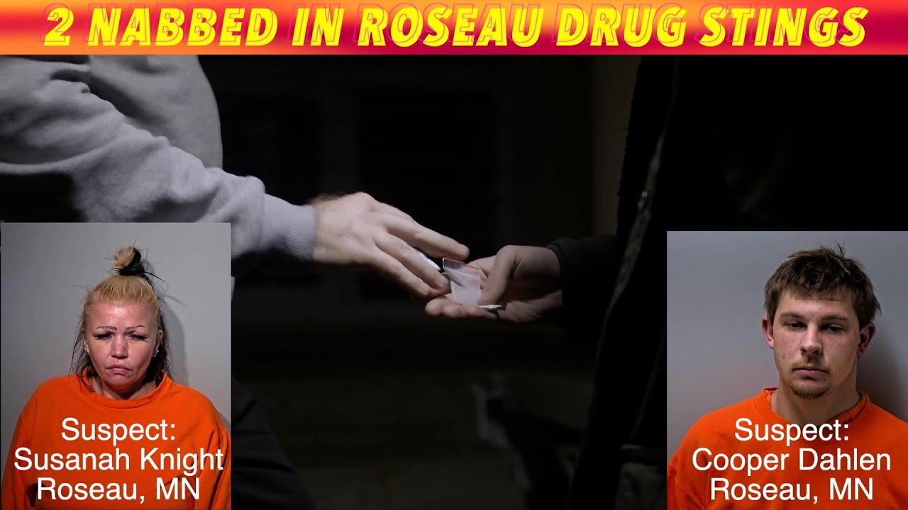 Two Nabbed In Roseau County, MN Drug Sting Operations
