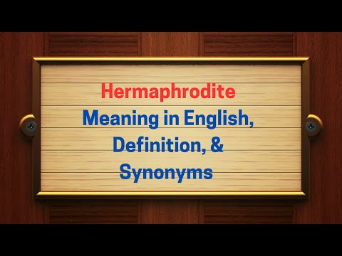 Hermaphrodite Meaning in English, Definition, and Hermaphrodite Synonyms | Thesaurus Thrive