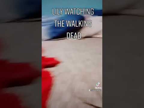 Cat watching The Walking Dead. #shorts #cute #cats
