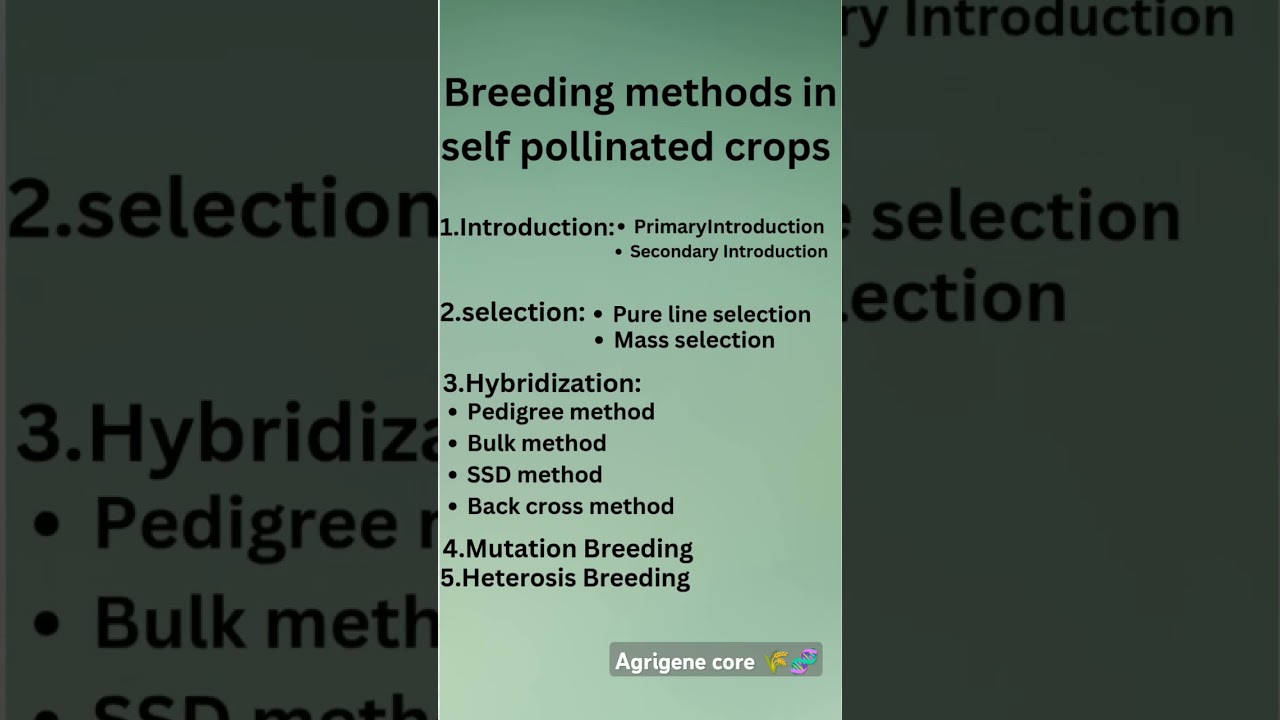 Breeding methods in Self pollinated crops 🌱#agricultureyoutube