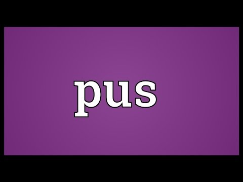 Pus Meaning