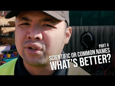 Are scientific names better than common names?