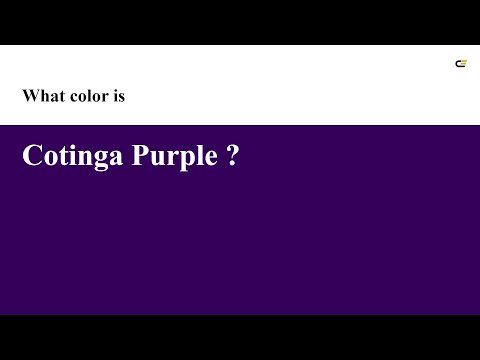 Cotinga Purple color #340059 hex color - Violet color - Cool color 340059