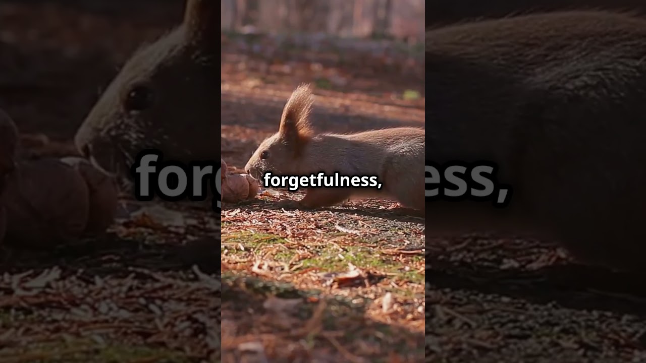 Squirrels: Nature's Tiny Tree Planters! #shorts #squirells #plant #tree #animals #animal #nut