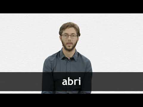 English Translation of “ABRI” | Collins French-English Dictionary