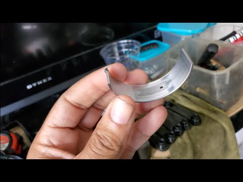 WHAT BEARINGS I USE & WHY. Video For the thinkers