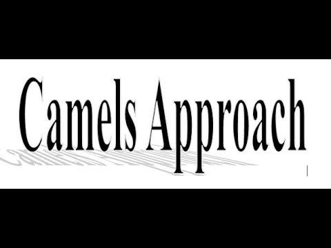 Camels Approach : Six Factor Bank Analysis